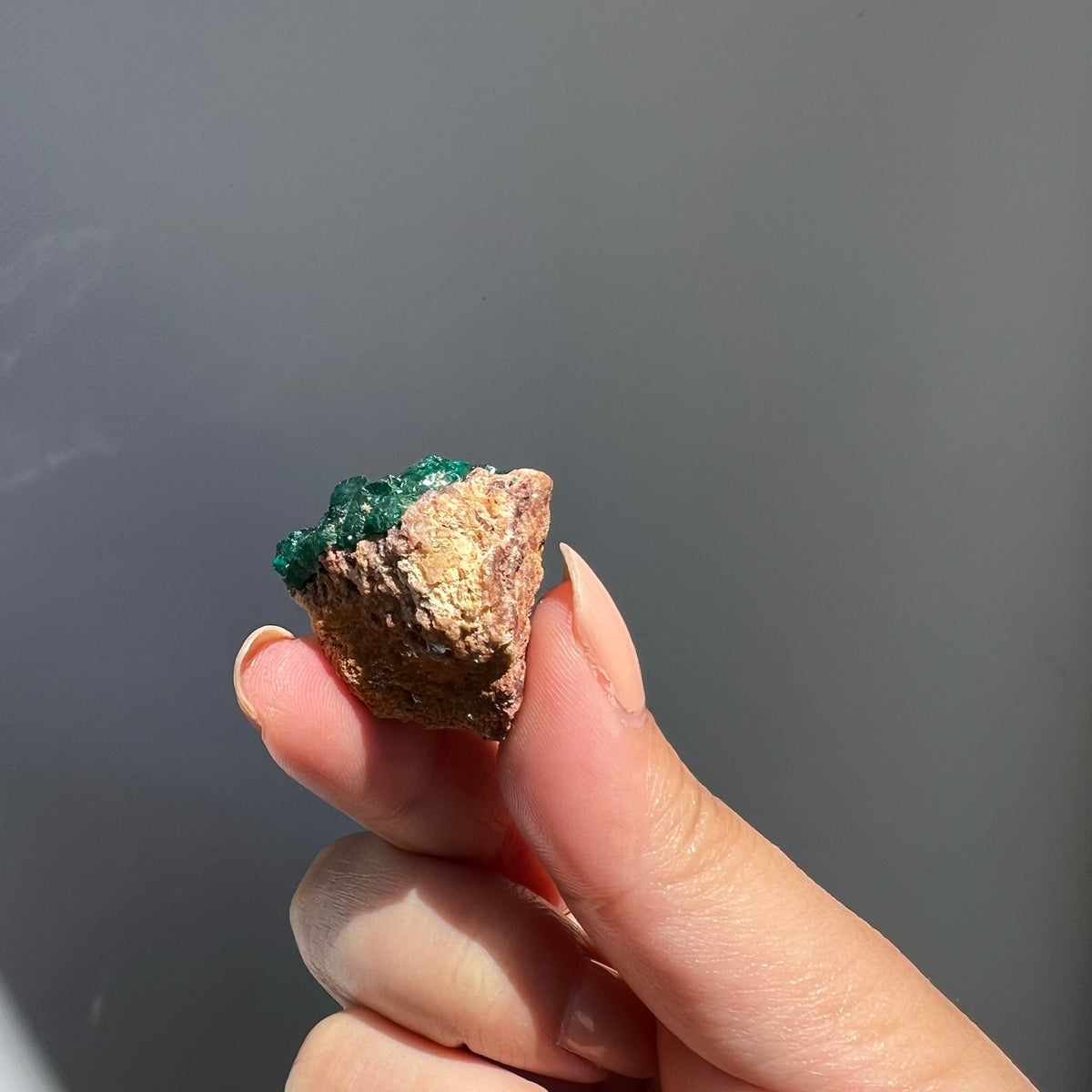 Certified Dioptase Cluster - 01 | ULUNA CRYSTALS & WELLNESS – Uluna