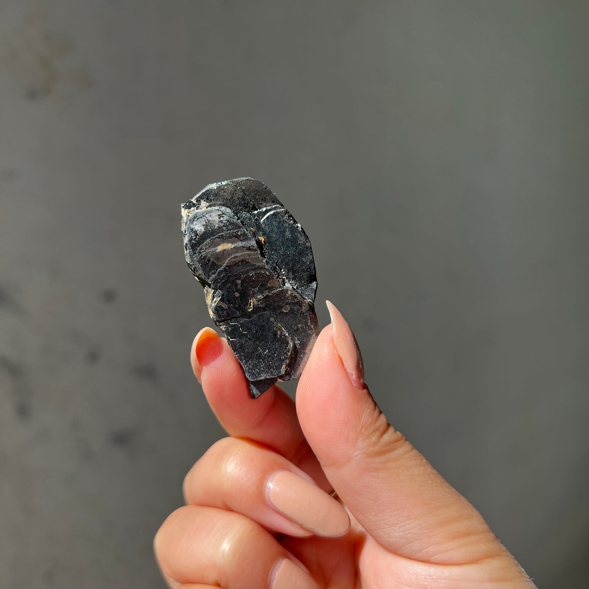 Certified Hematite & Rutile - 02 | ULUNA CRYSTALS & WELLNESS – Uluna