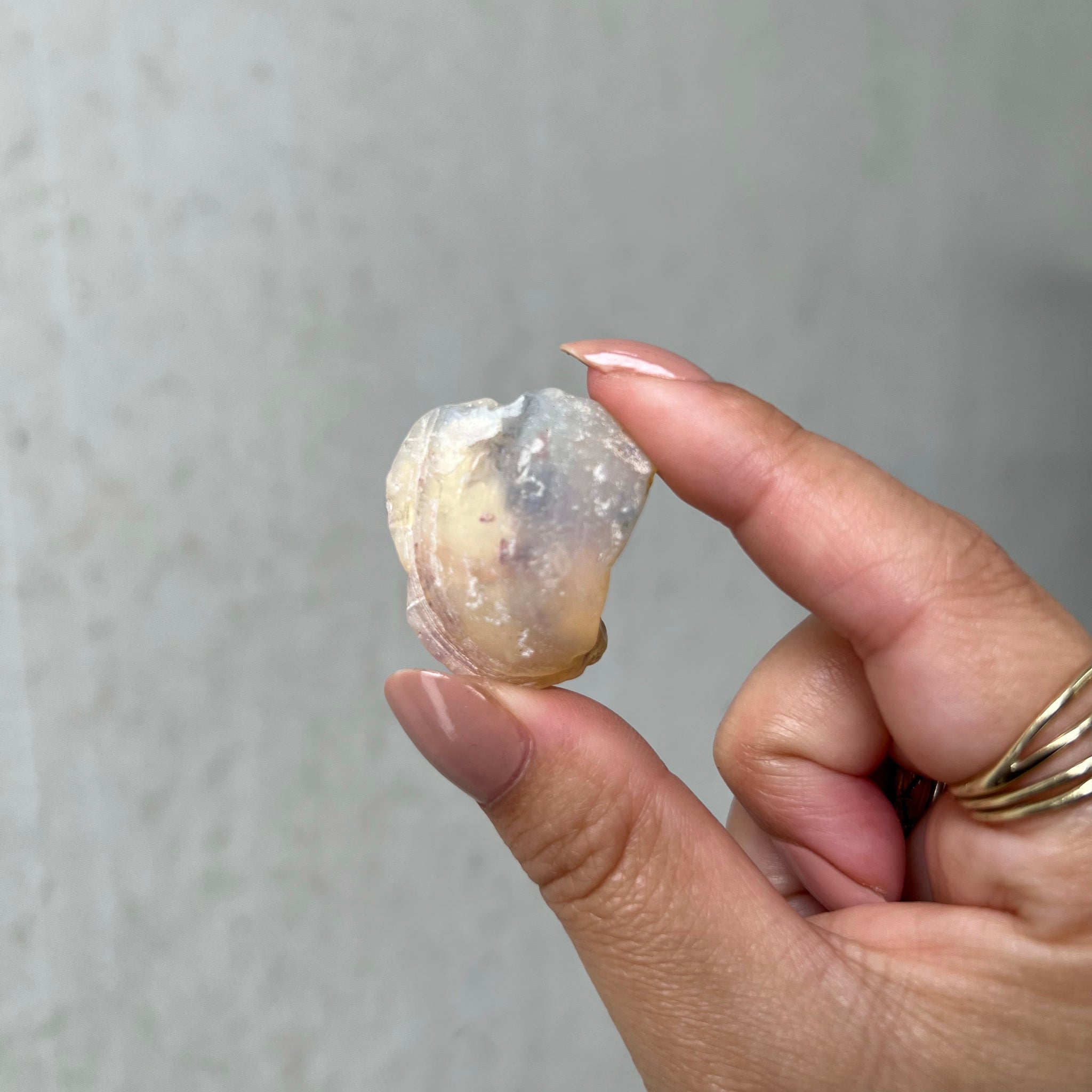 Certified Opalised Fossil - 02 | ULUNA CRYSTALS & WELLNESS – Uluna